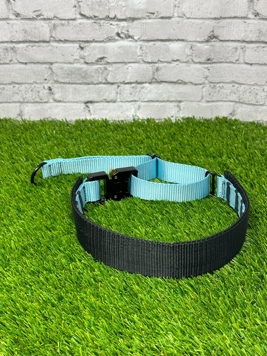 Premade - The Stealth - Hidden Prong Collar – Angry Melon Gear