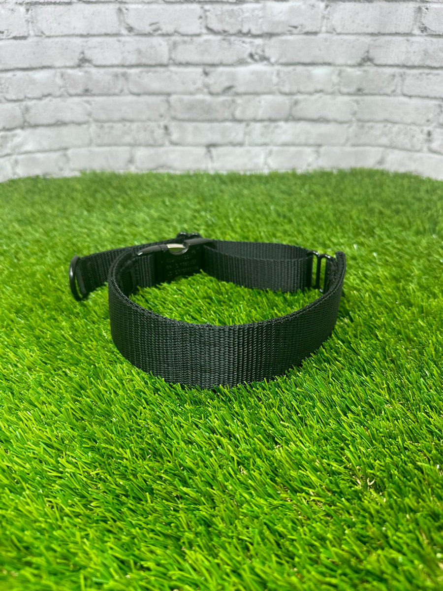 Premade - The Stealth - Hidden Prong Collar – Angry Melon Gear